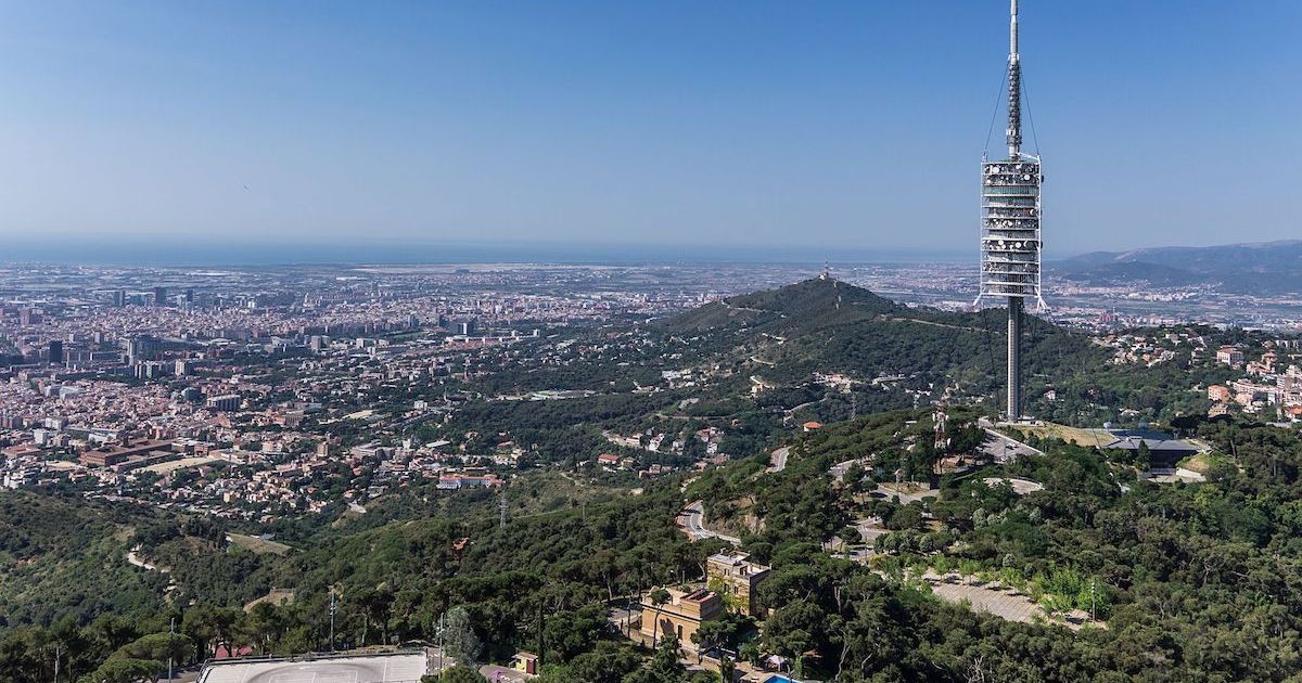 Ocho horas para quemar Collserola, y ovejas y olivos para evitarlo