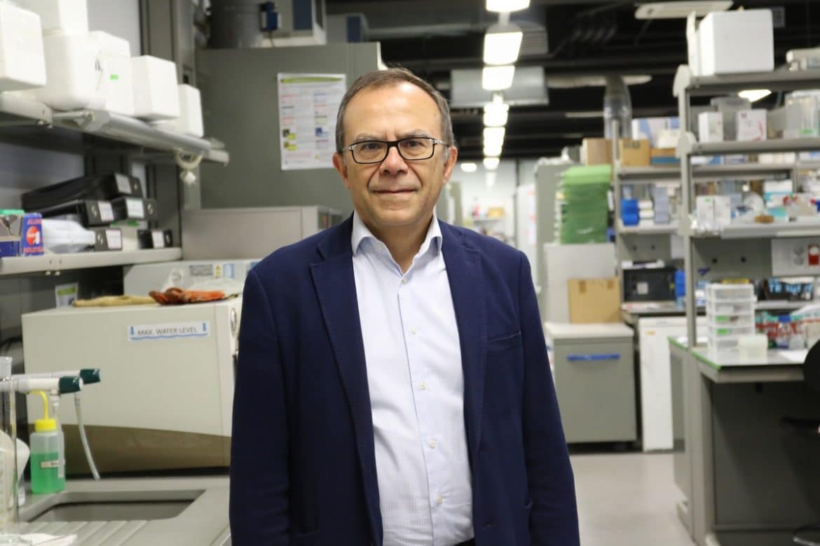 El potencial de la nanomedicina para las enfermedades raras, a debate ...