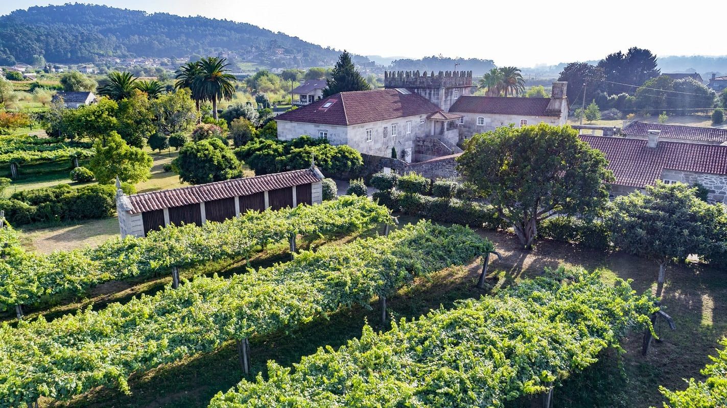 Torres crece en albariño con la compra de una bodega en Galicia